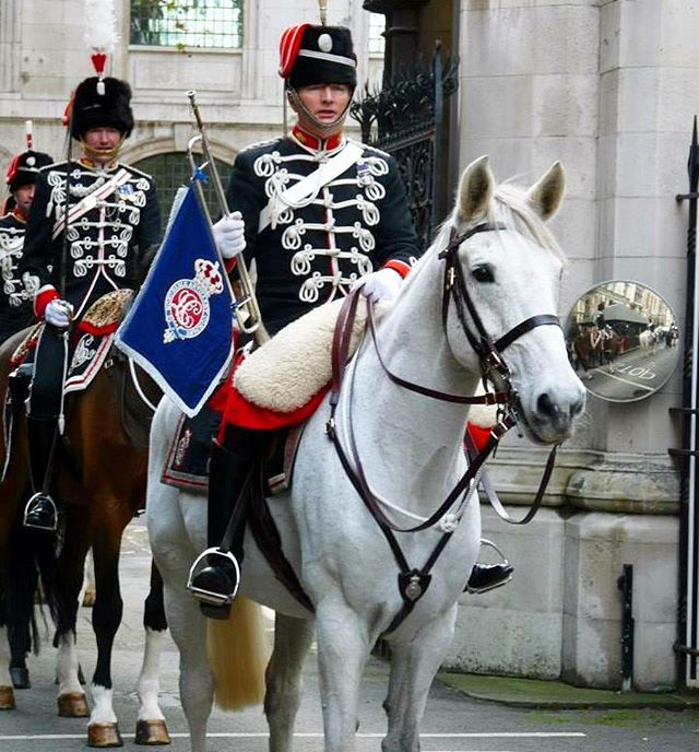 light armoured cavalry