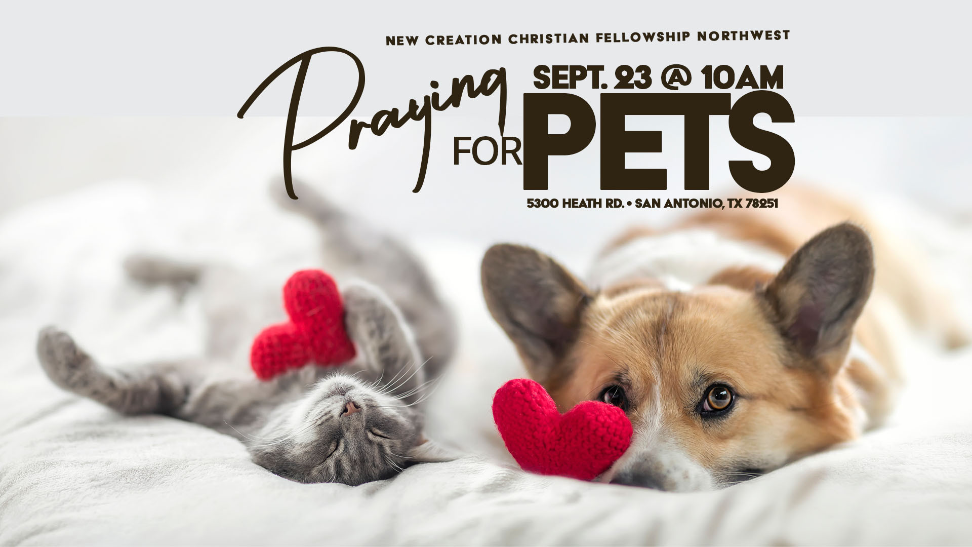 NCCFNW PRAYING 4 PETS | NCCF