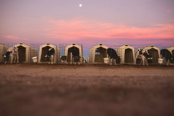 Home | PCG Public Site