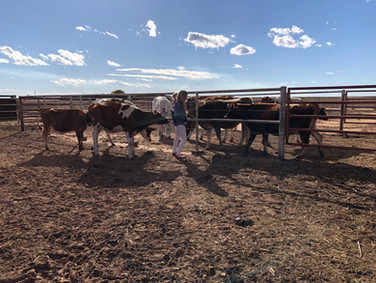 Home | PCG Public Site