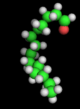 Los Lípidos - Mind Map
