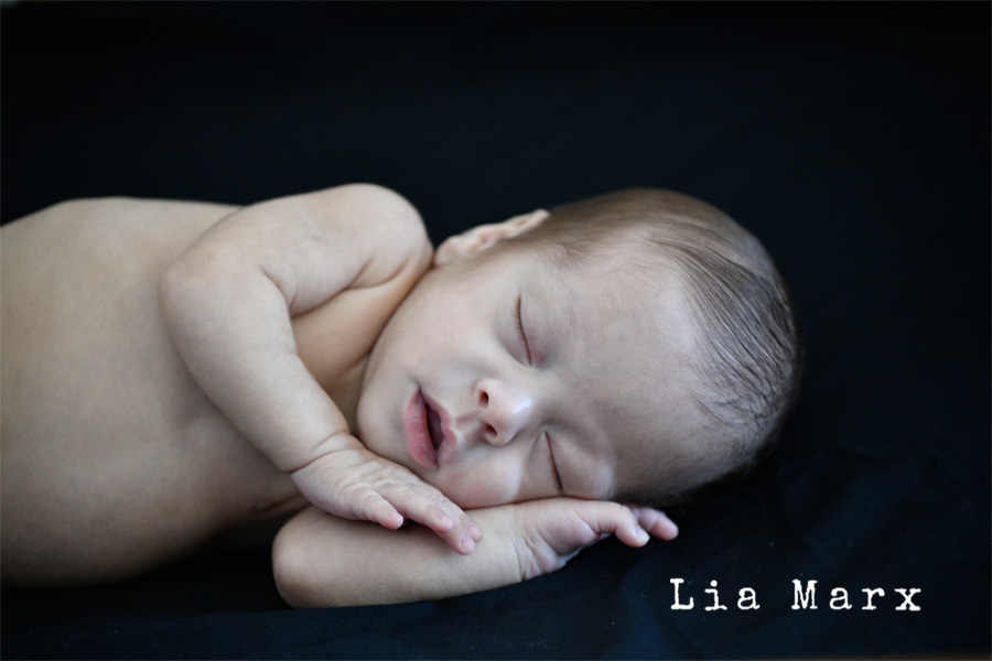 Portfolio | Lia Marx