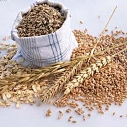 Tipos de materiales naturales | materialesyprocesos4