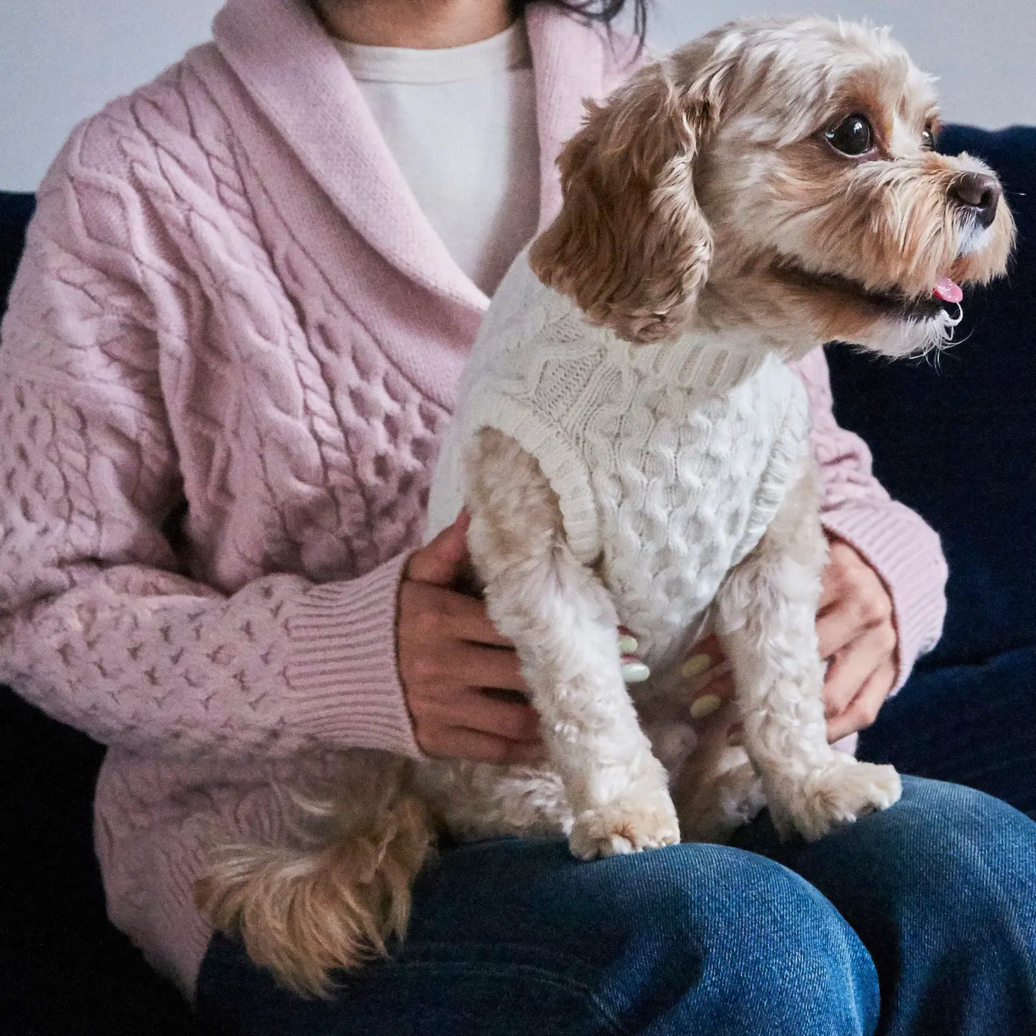 Nooee Pet X Demy Lee Wool Off White Cable Sweater | Lola & Nell