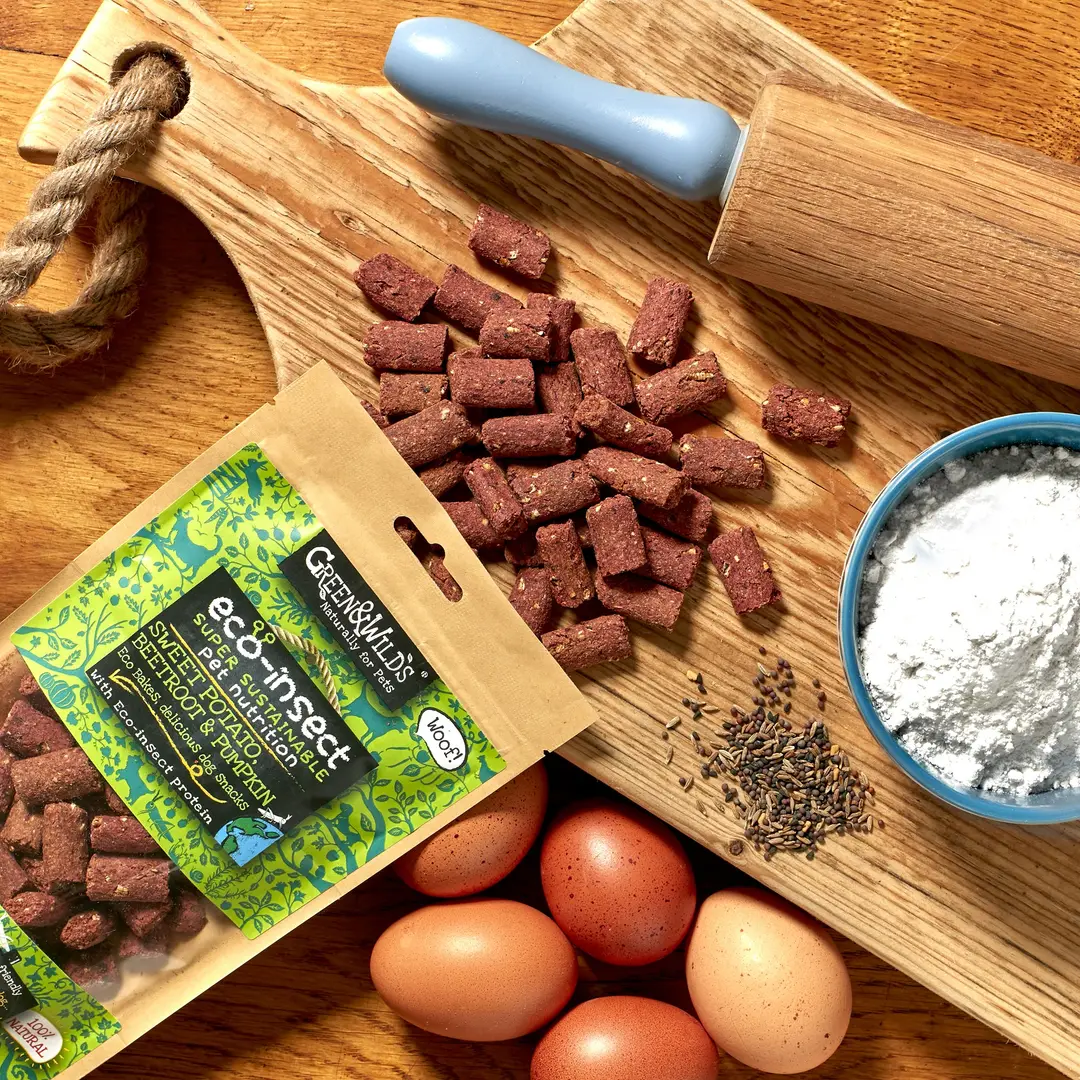 Ingrid's incredible insects' Eco insect Bakes, 130g | Lola & Nell