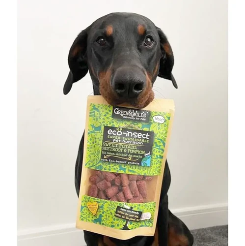 Ingrid's incredible insects' Eco insect Bakes, 130g | Lola & Nell