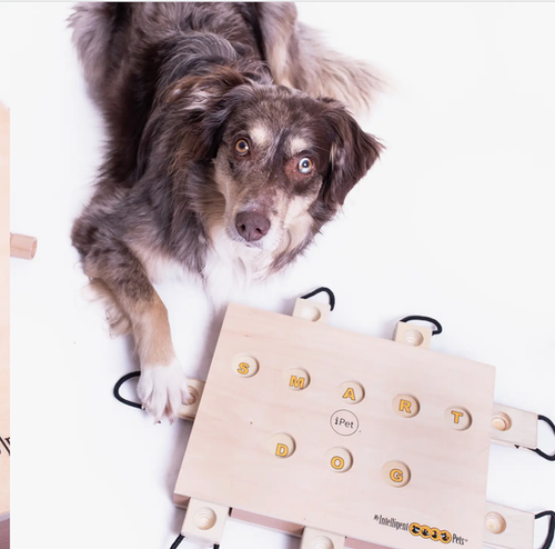 Ipet - Smart Dog - Challenging Interactive Game For Dogs by My ...