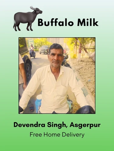Pure Fresh and raw Buffalo Milk 500 ML From Devendra Singh, Asgerpur ...