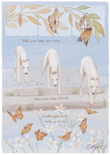 “Plan One Step Ahead” | Billy Whippet