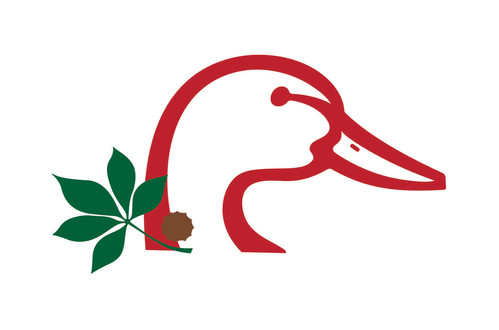 OSU Ducks Unlimited Decal | nuthreadz