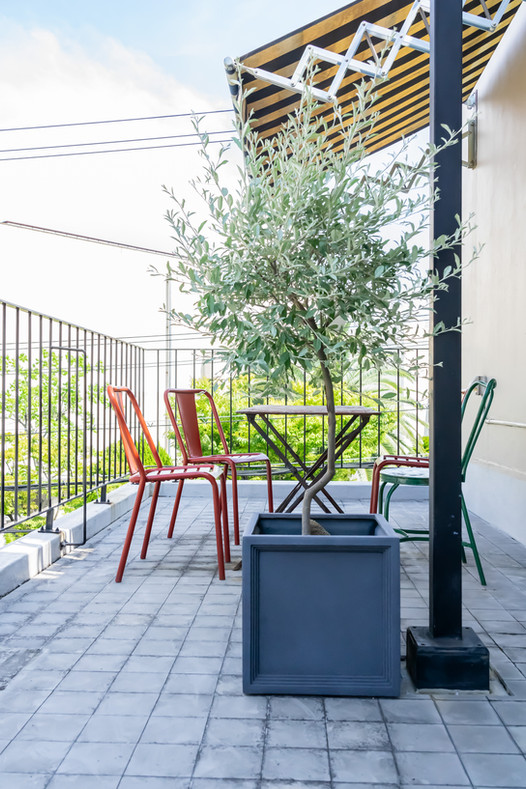 LEAD LITE | greenpot-co-ltd