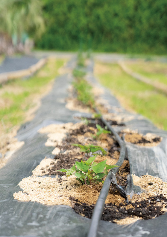 CLABER | greenpot-co-ltd