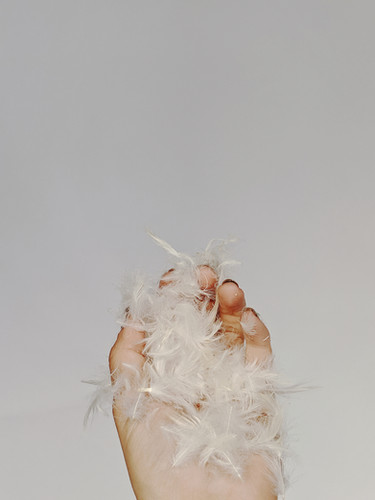 Extra Feathers (10% Down 90% Feathers) | Czech Feather + Down