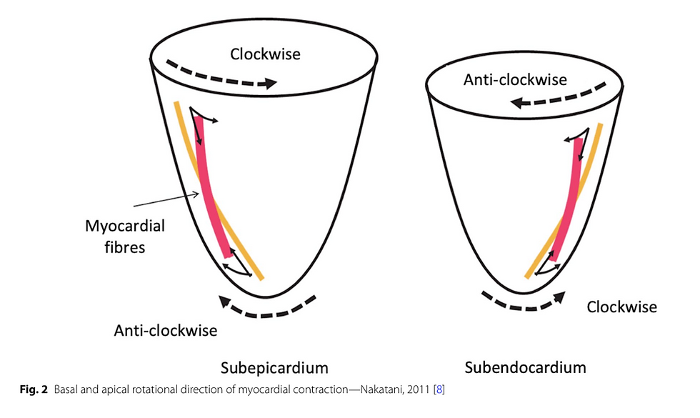 Evaluación de la función diastólica del VI. Guías y recomendaciones de ...