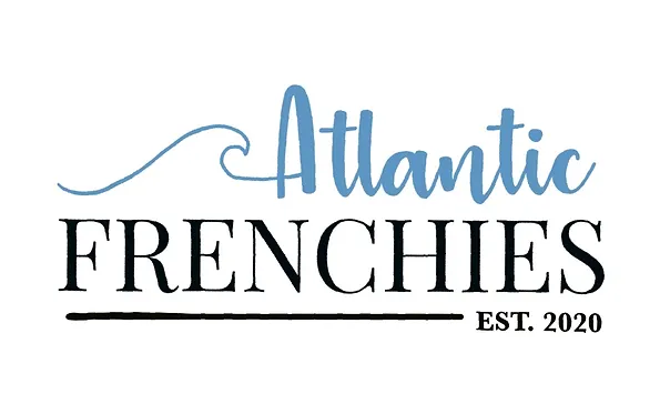 Home | Atlantic Frenchies