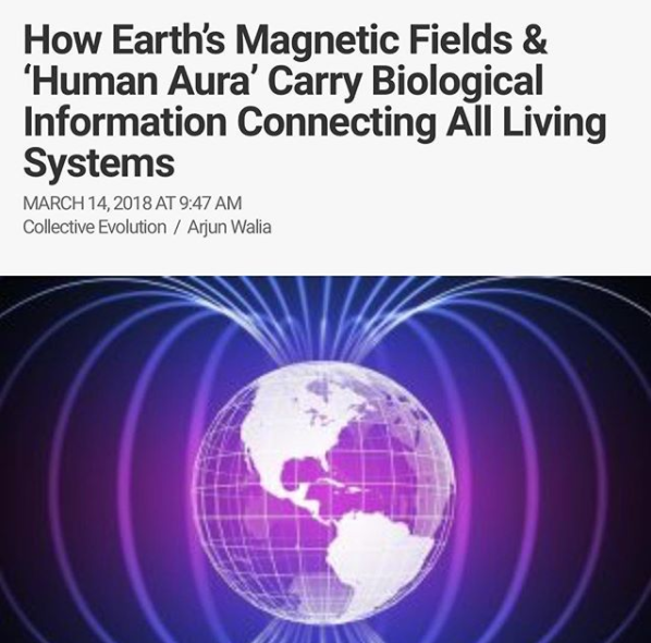 How Earth's Magnetic Fields & "Human Aura" Carry Biological Information ...