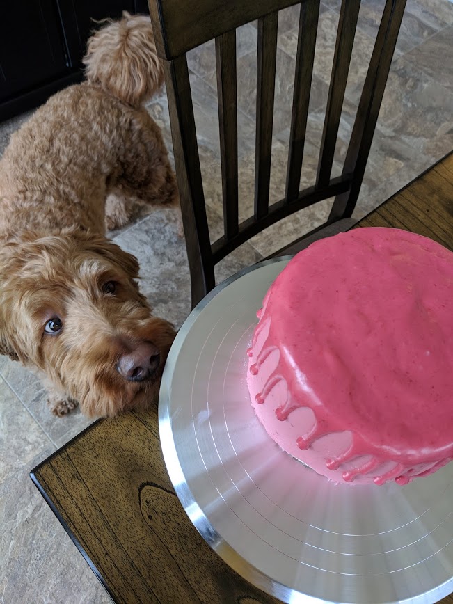 Raspberry Champagne Cake