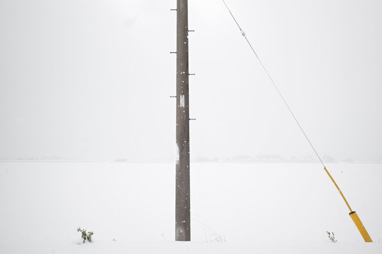 Naoki HASHIMOTO Website