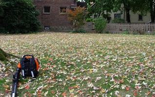 Leaf Cleanup | tclawncare