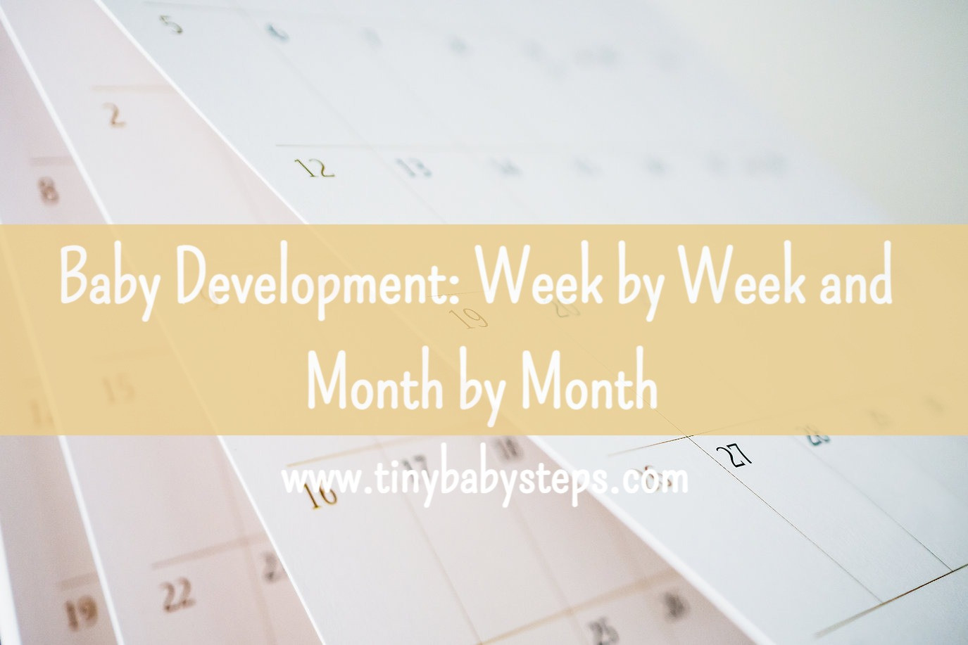Baby Development: Week by Week and Month by Month