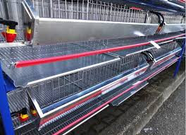 Cusca prepelite 90 cm | Depozit Agrostore