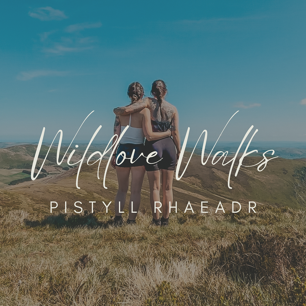 Wildlove Walks - Pistyll Rhaeadr, A Waterfall Visit