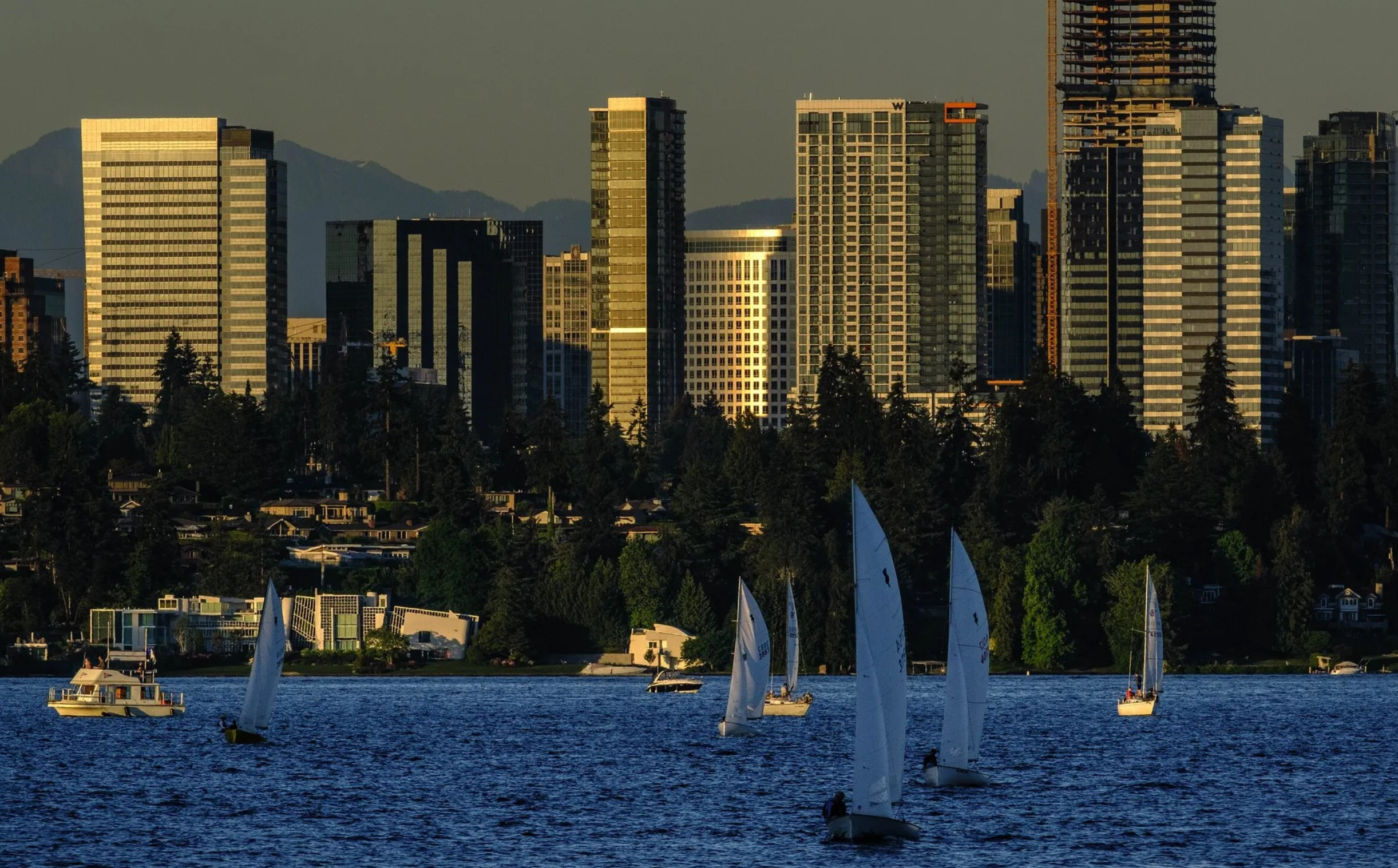 Microsoft-backed OpenAI eyes expansion to Seattle region (Bellevue ...