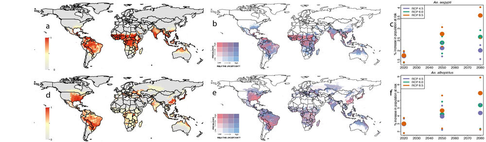 Mapping the spread of the Aedes aegypti and Aedes albopictus mosquitoe
