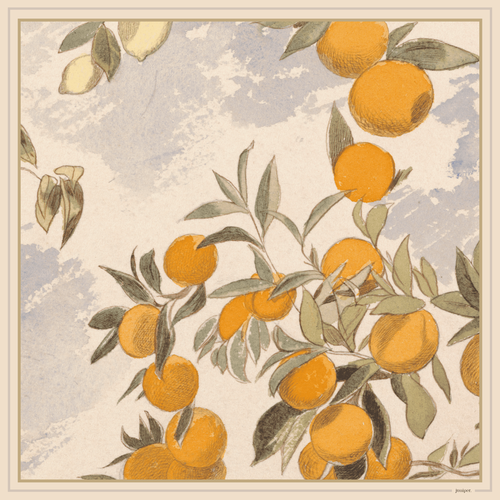 001 Lemon Sunshine | Juniper Bottega