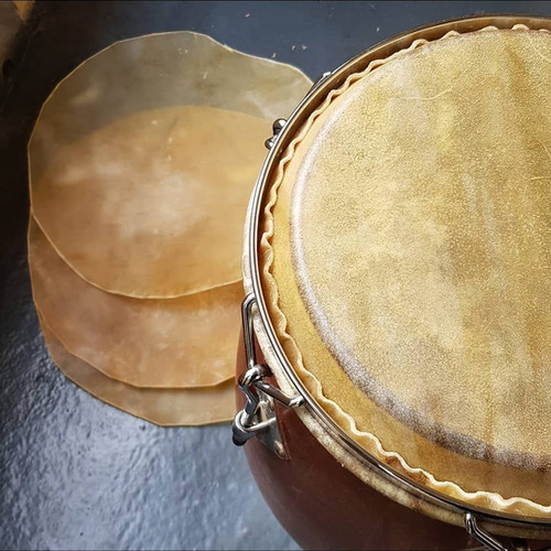 Cow, Bull & Buffolo Hide for hand drums - Heads of Congas, Bongos ...