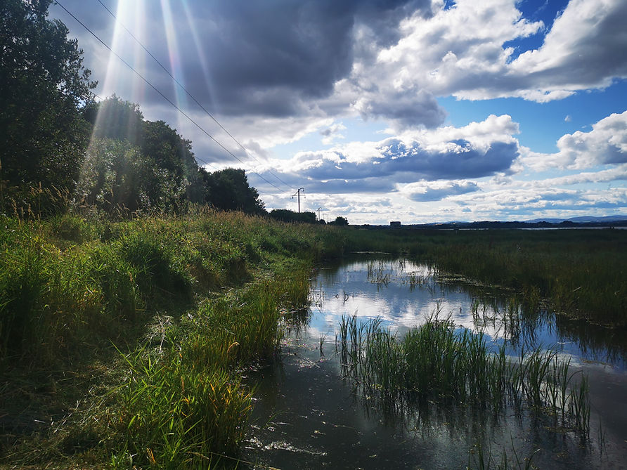 News | Mosquito Scotland