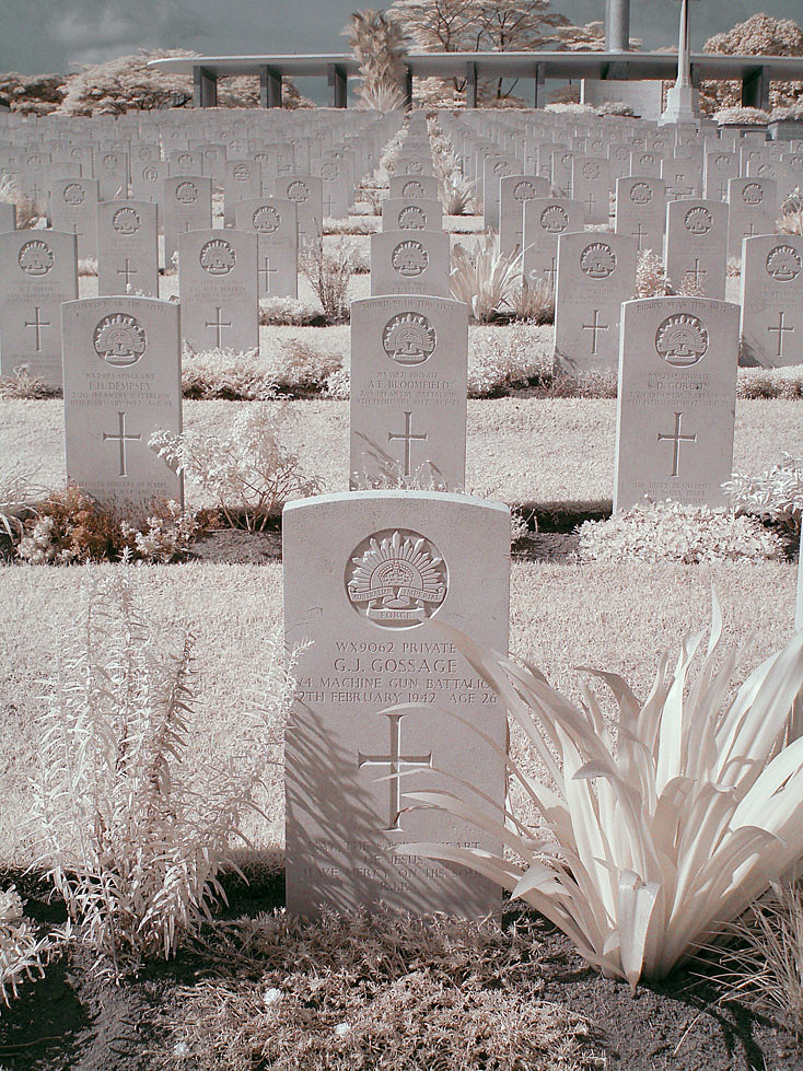 “Are you a White Washed Sepulcher?” Author and Writer Ronald Nelson