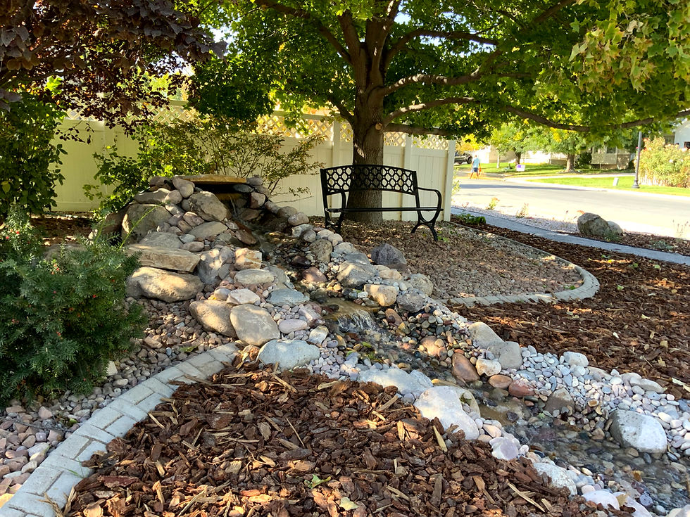 Water-wise Native Design | Eden's Garden Design