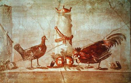 Winner Winner Roman Chicken Dinner