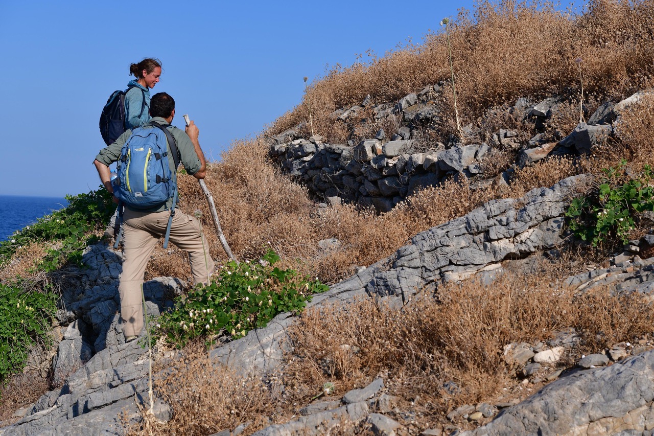 Reflections on Archaeology with Dr Sarah Murray