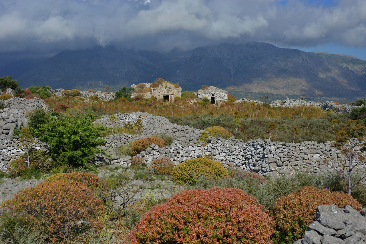 Reflections on Archaeology with Dr Sarah Murray