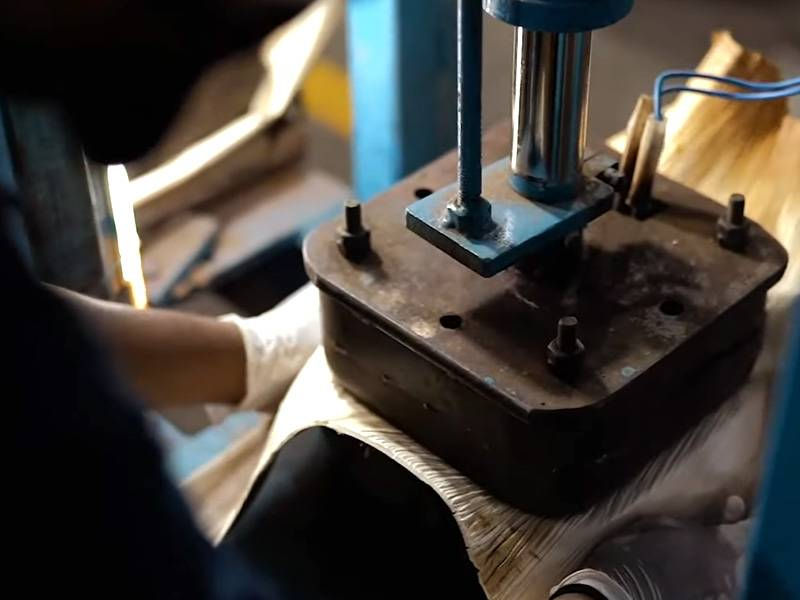 Areca Palm Leaf Lifecycle | Agroware