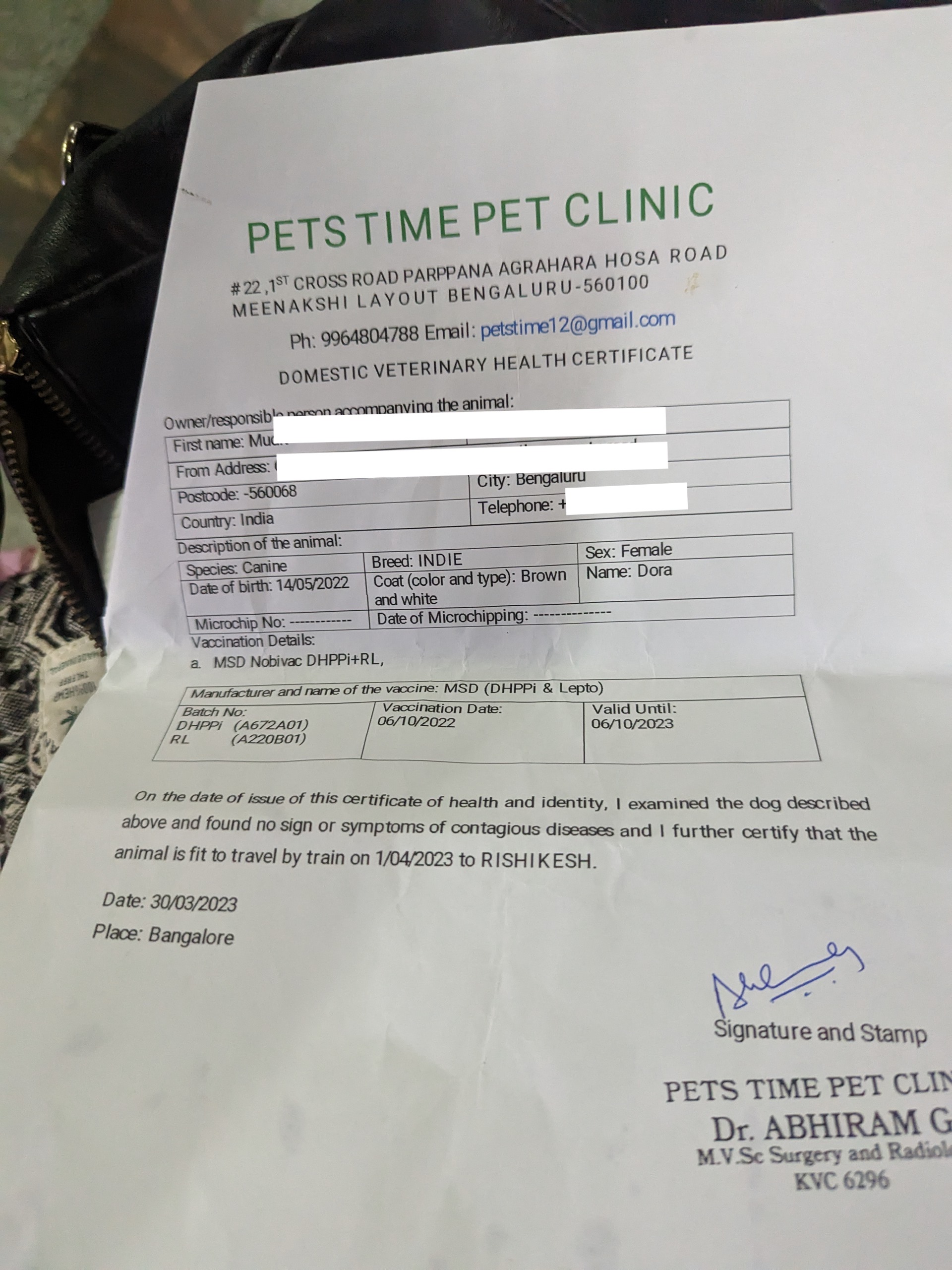 How To Travel With Your Dogs By Train In India: A Detailed Guide