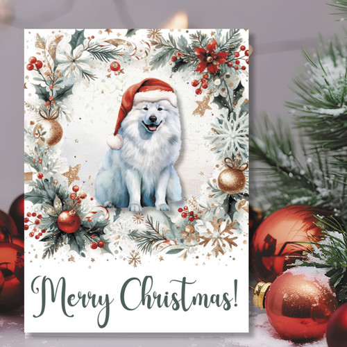 Samoyed - Christmas Card | Bellevue Printing