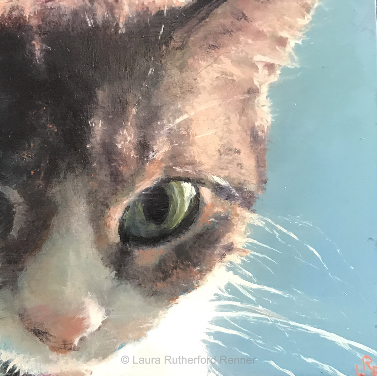 lifescape | laura-r-renner