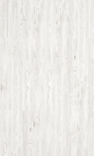 Nordic White Birch | KC CP LTD