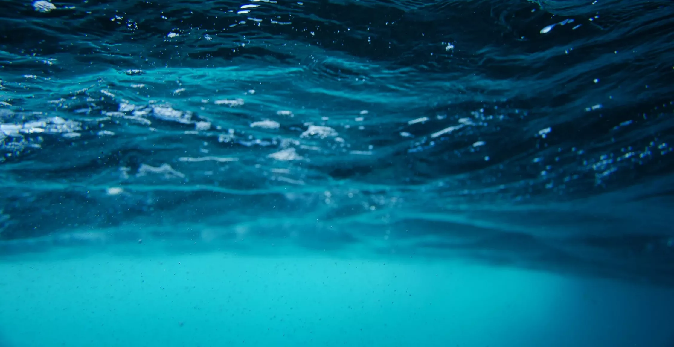 Clean Water Organizations