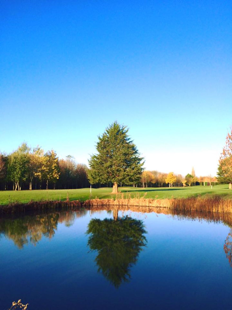 Discover Excellence at Brickhampton Court : Gloucestershire's Finest ...