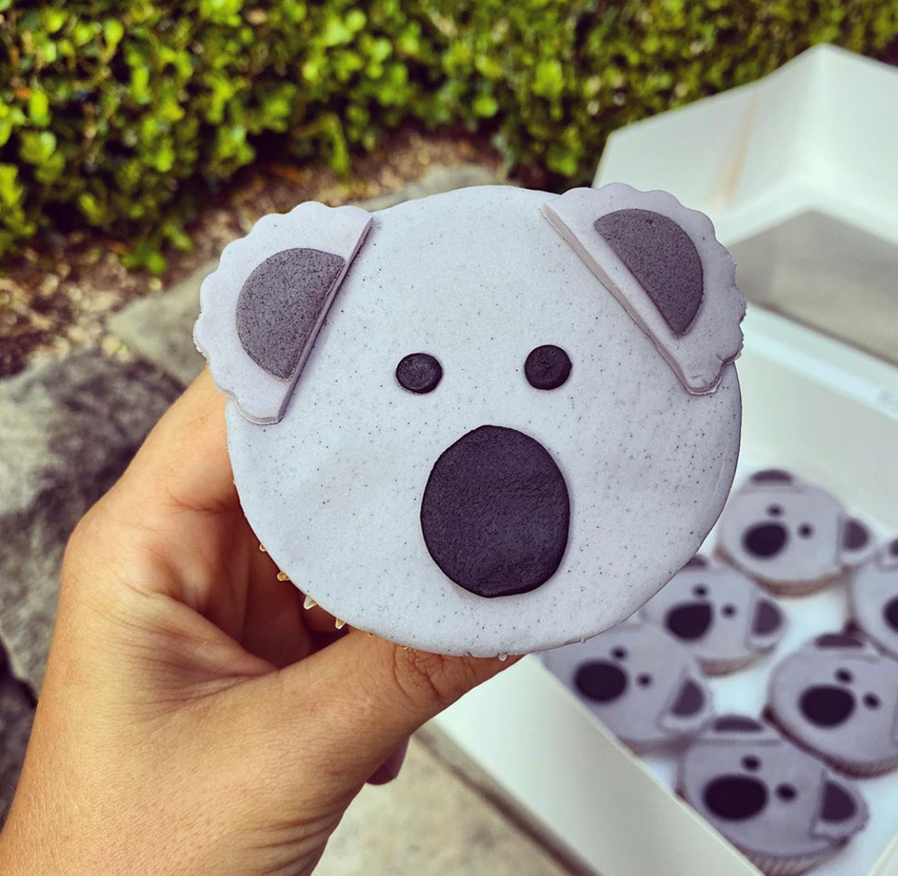 Koala Cupcakes