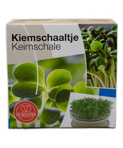 De Bolster Glass Sprout Dish | Oficina Verde Lisboa