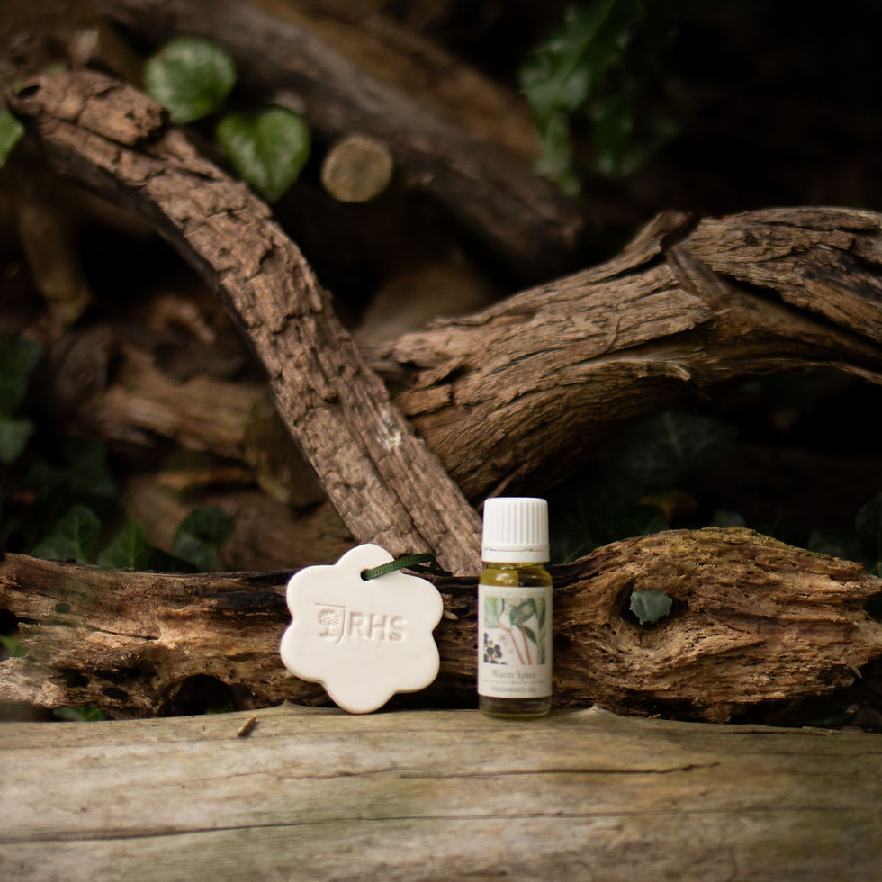 Freckleface Home Fragrance