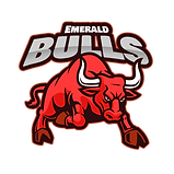 Home | Emerald Basketball