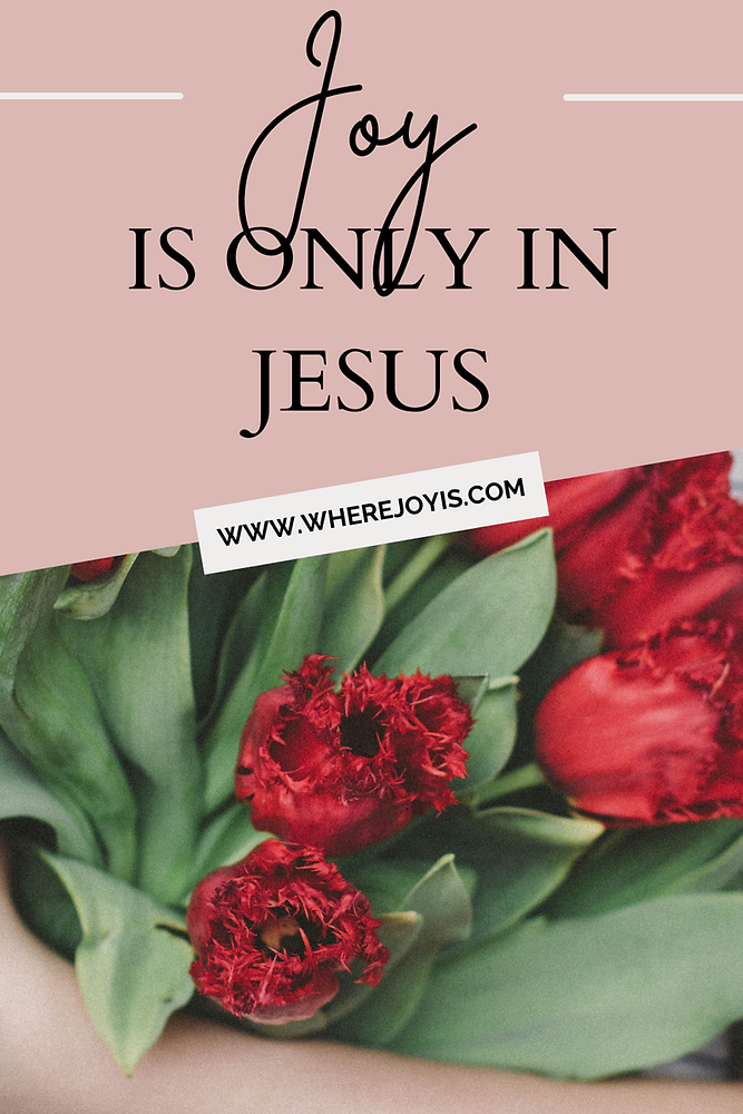Joy is Only in Jesus