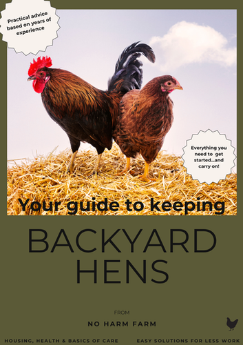 How to keep hens, digital download guide | No Harm Farm Loophea