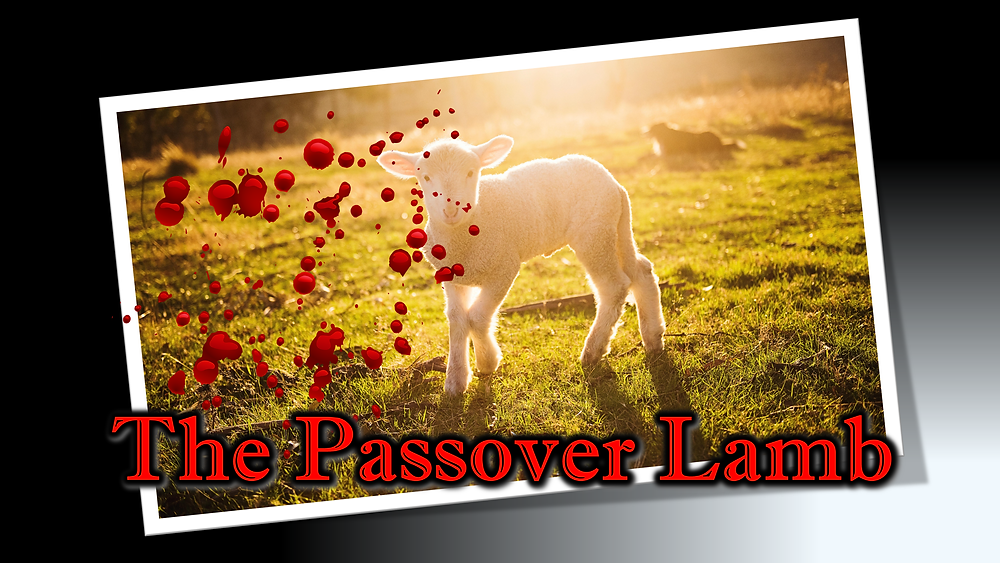 What is the Passover Lamb?
